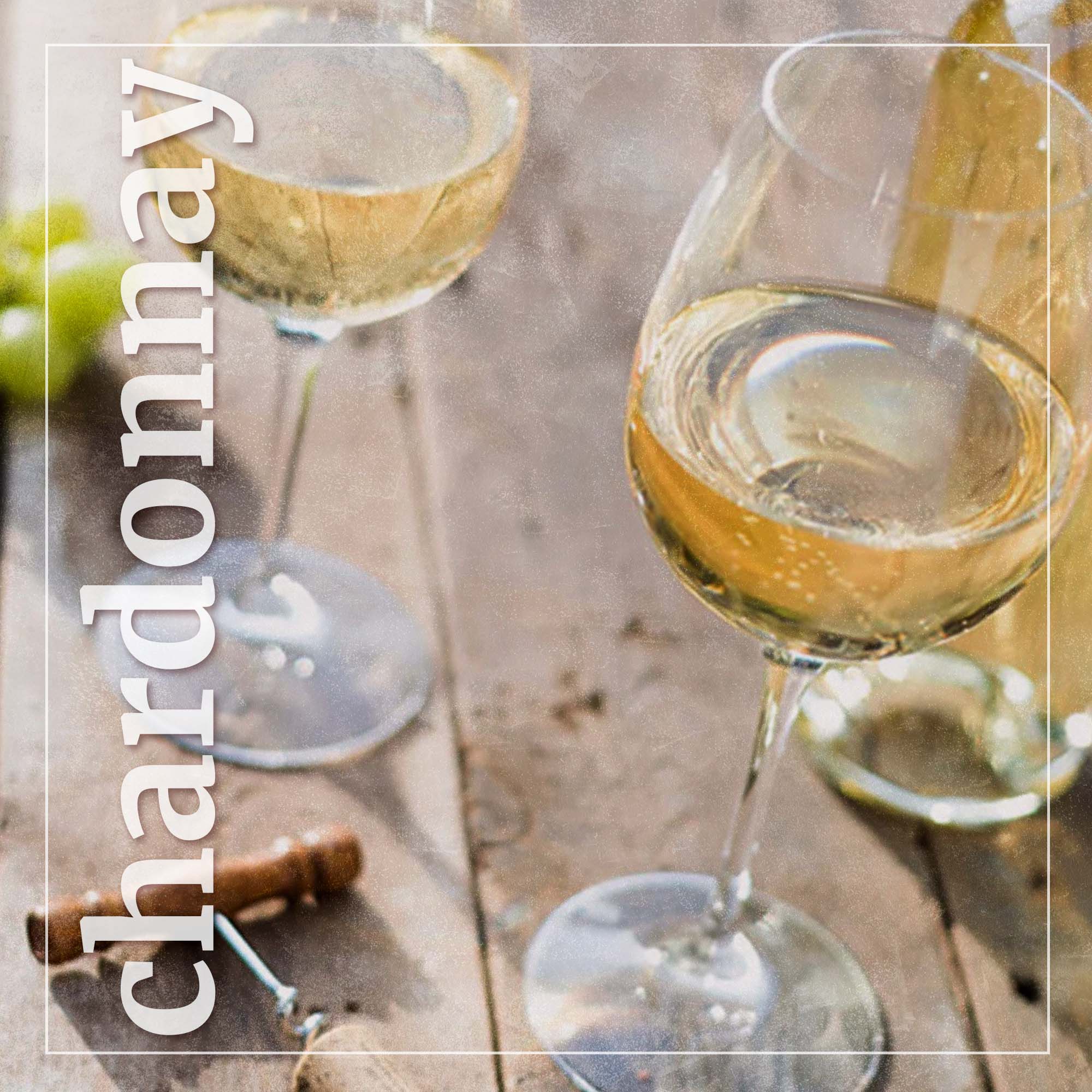 Encyklopédia vína | Odroda Chardonnay